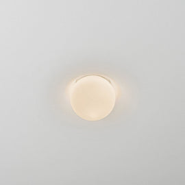 Downlight – Lamptitude