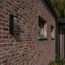 Products – Lamptitude