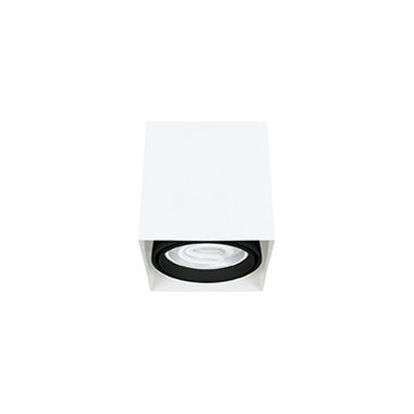 Surface Downlight – Lamptitude